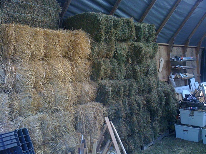 t u n n e l w o o d r a n c h