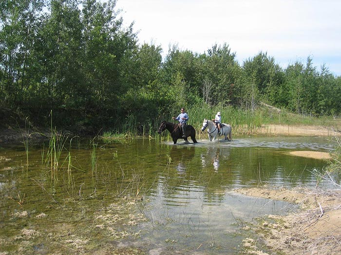 t u n n e l w o o d r a n c h